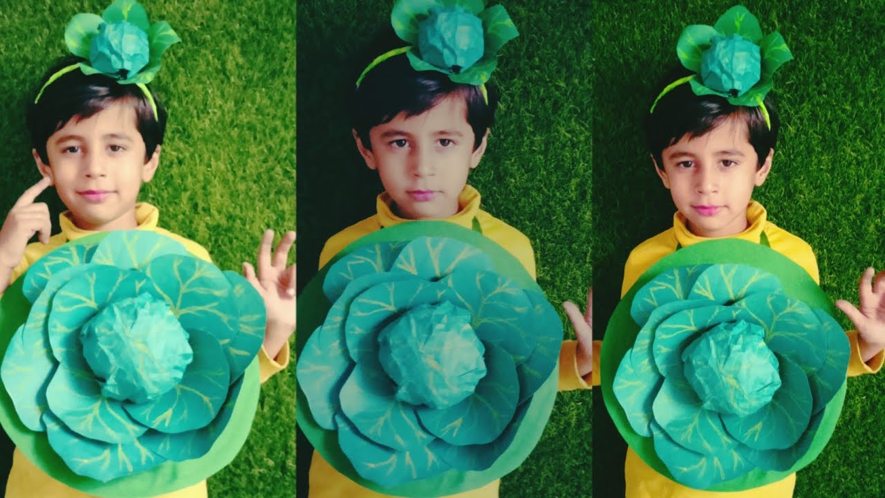 How make to Cabbage | costume #fancydresscostume , Vegetable costume ...