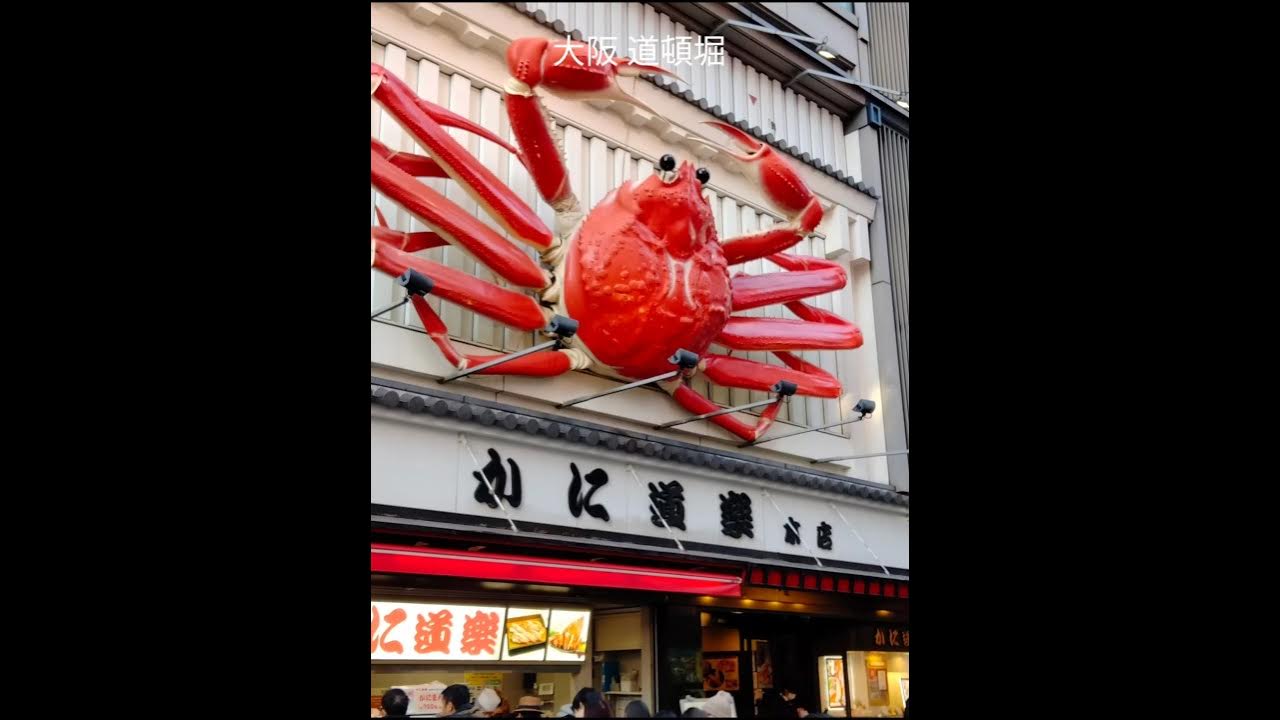 #大阪 #道頓堀 #難波 #心斎橋 #食い倒れ #グリコ #観光 #旅行 #商店街 #遊覧船 #かに道楽 #たこ焼き #神戸牛 #りんご飴 ...