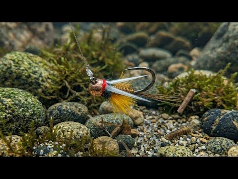 Prince Pheasant Tail Euro/Jig Nymph. #flytying #flyfishing #nymphs #nymphing #shotaflies #Bestfly