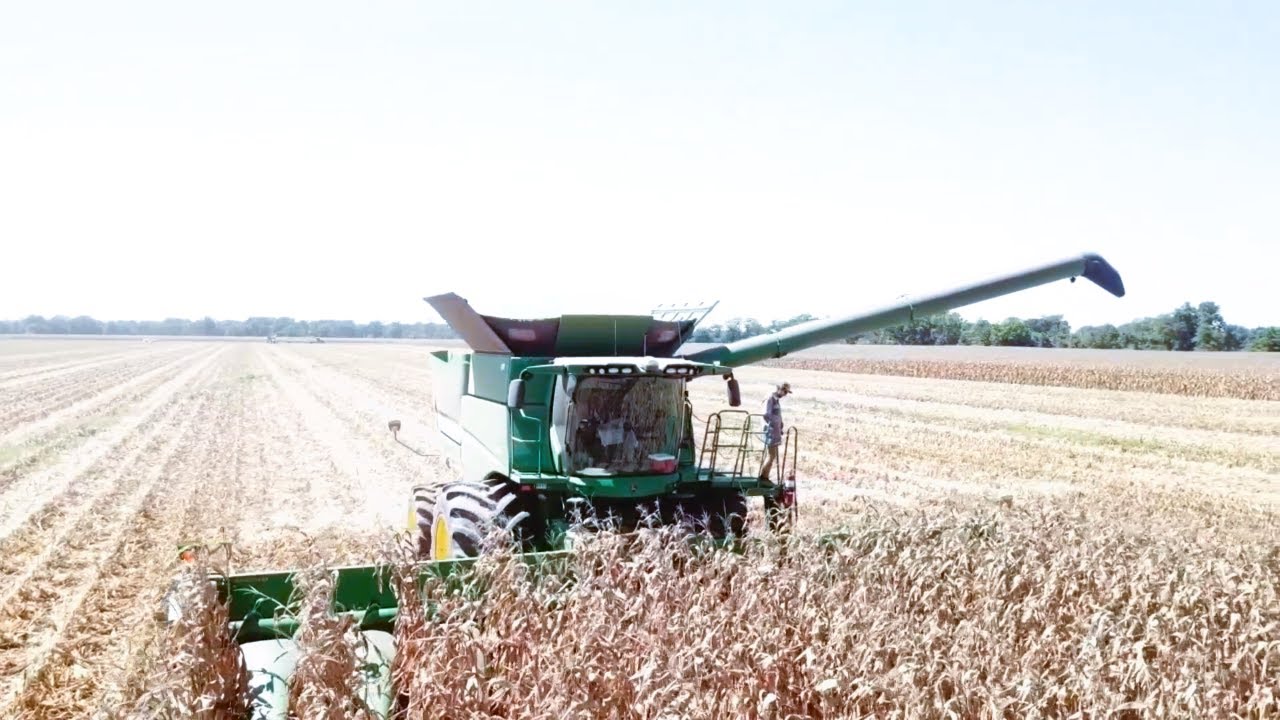 Delta corn harvest is DONE! - YouTube