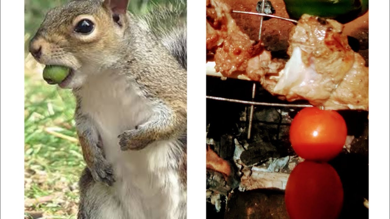 roasting whole squirrel in the farm @ kin-joONE - YouTube