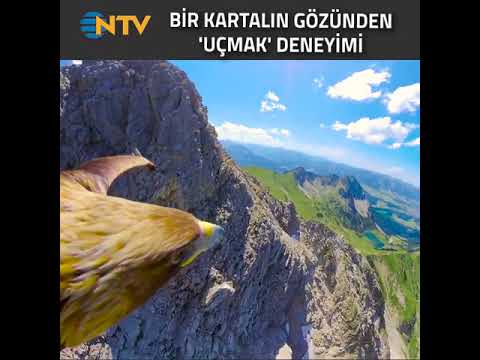 Bir Kartalın Gözünden \