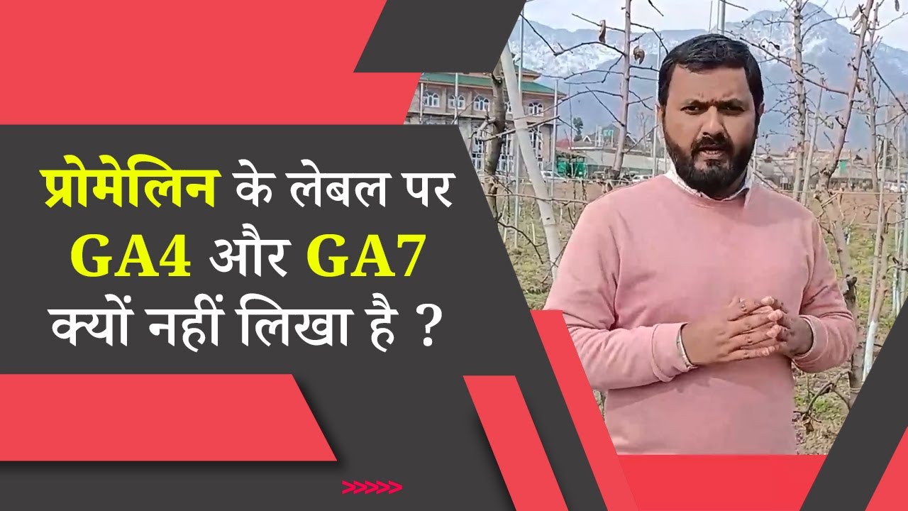 प्रोमेलिन के लेबल पर GA4 और GA7 क्यों नहीं लिखा है? - YouTube