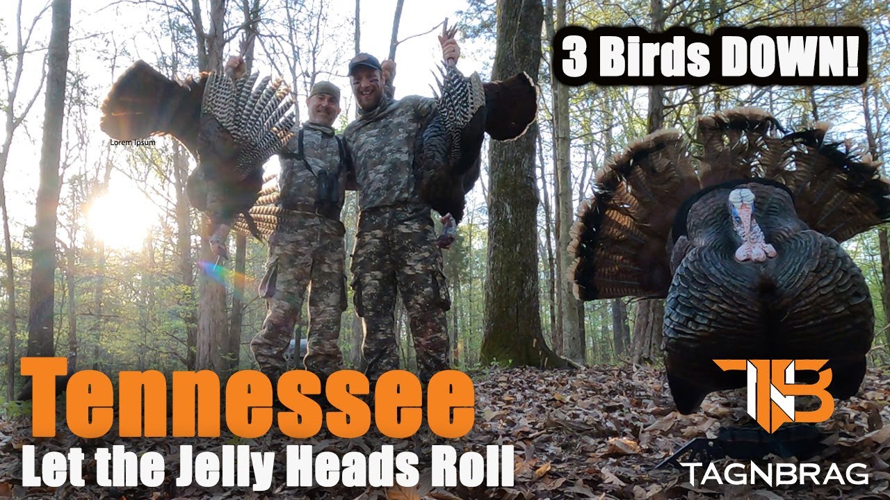 Tennessee Turkey Hunting: Triple Turkey Takedown! - YouTube