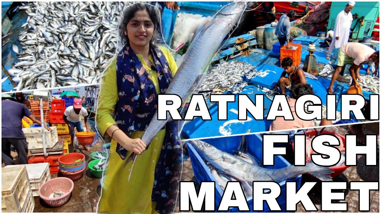 Mirkarwada Fish Market in Ratnagiri | Biggest Fish market in Kokan ...