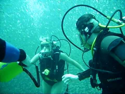 Newschannel 7's Elizabeth Prann Scuba Dives with UCSI Program (Part II ...
