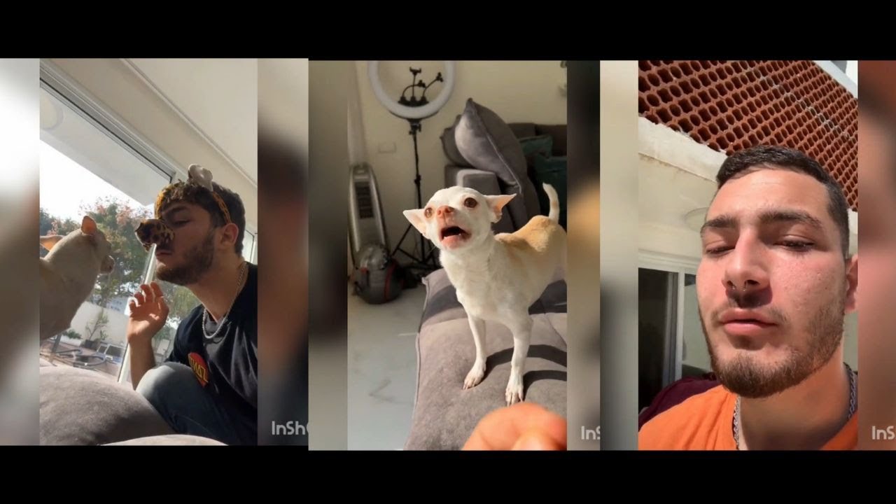 mreviatar and niki ozeri latest and funniest video.#mreviatar # ...