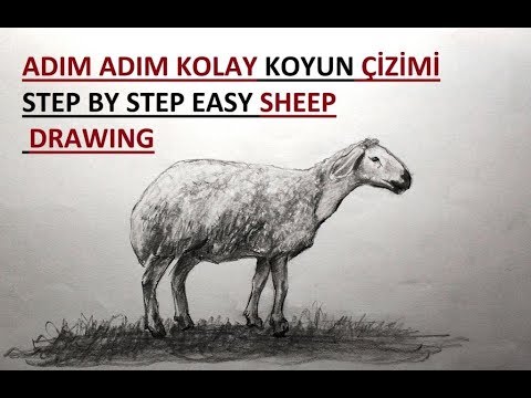 Koyun Çizimi / Adım Adım Karakalem Kolay Koyun Resmi Nasıl Çizilir?