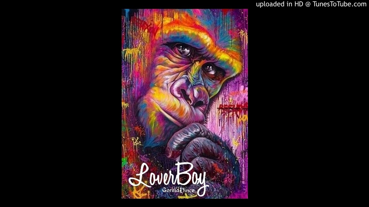 GorillaVince - Mr. Loverboy - YouTube