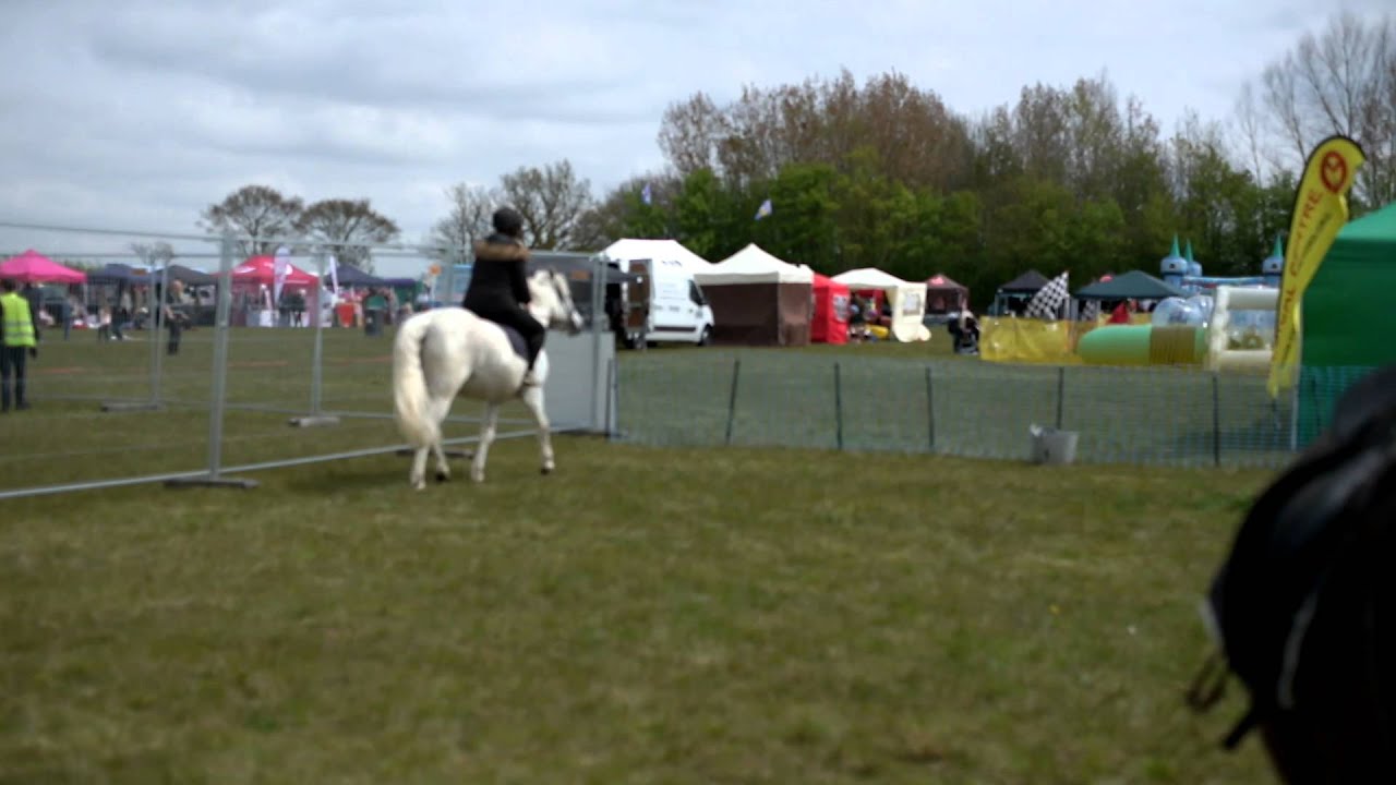 SoundStock Festival Pony Rides - YouTube