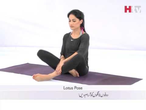 Lotus Posture Exercise | HTV Fitness - YouTube