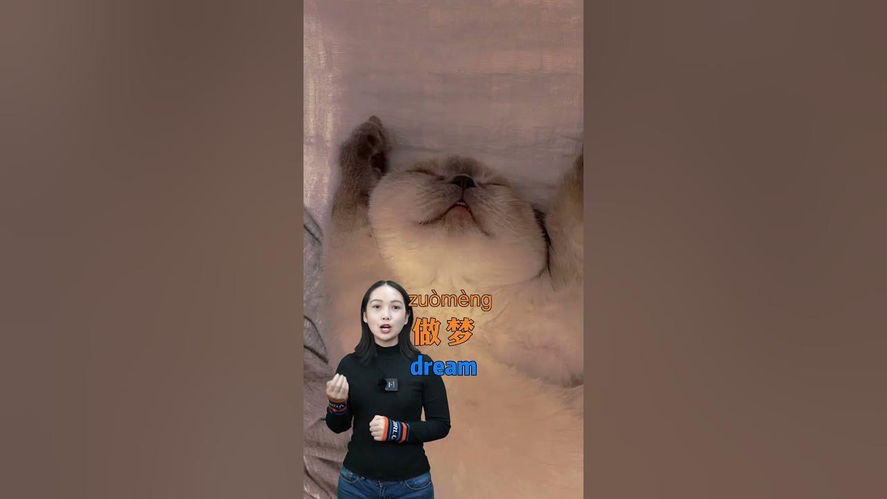 Sleep In Chinese YouTube sleep-in-chinese-youtube