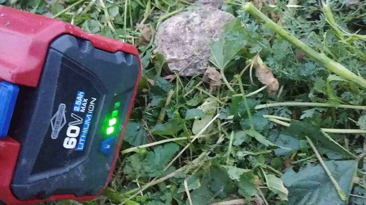 Snapper 60 volt string trimmer vs tall weeds - YouTube