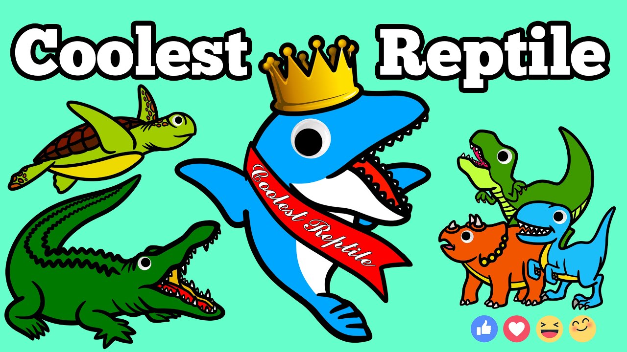 Mosasaurus meets Cool Modern Reptiles! | Learn Traits of Modern and ...