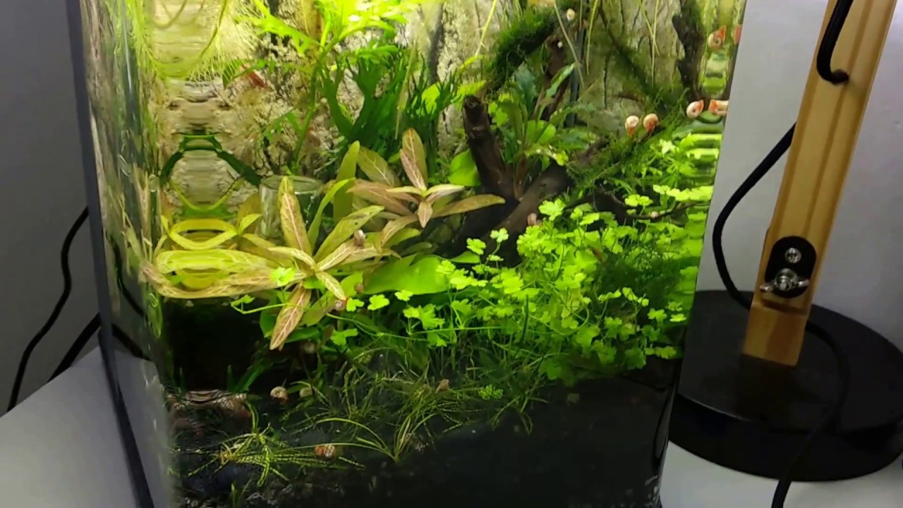 Sera Nano LED Cube 16l - YouTube