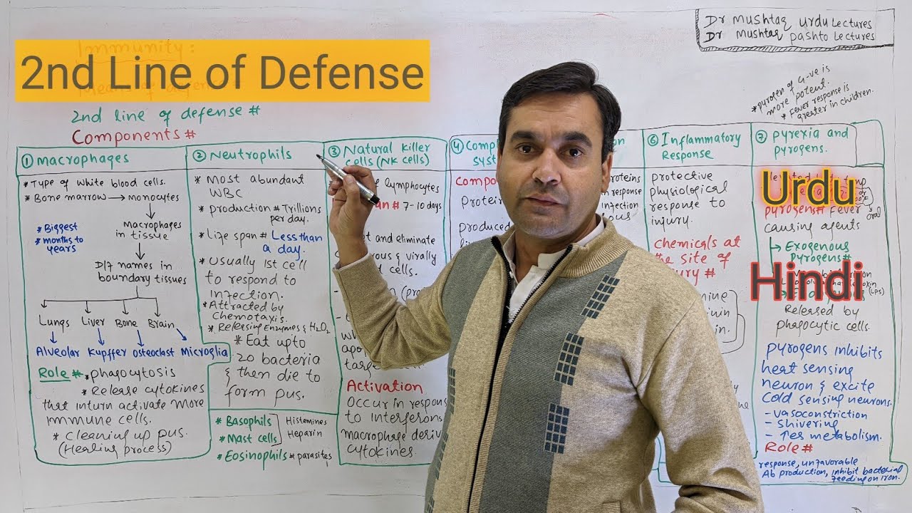 2nd line of defense | Biology Class 11 | Immunity - YouTube