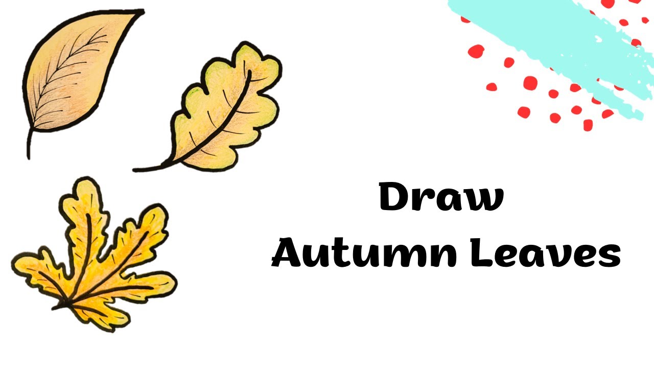 Draw and color autumn leaves | Easy step by step drawing - YouTube