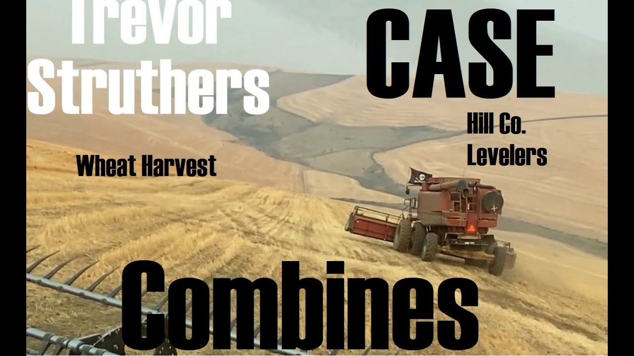Smokie day cutting wheat with the boys - Grain Hogs S02E15 - YouTube