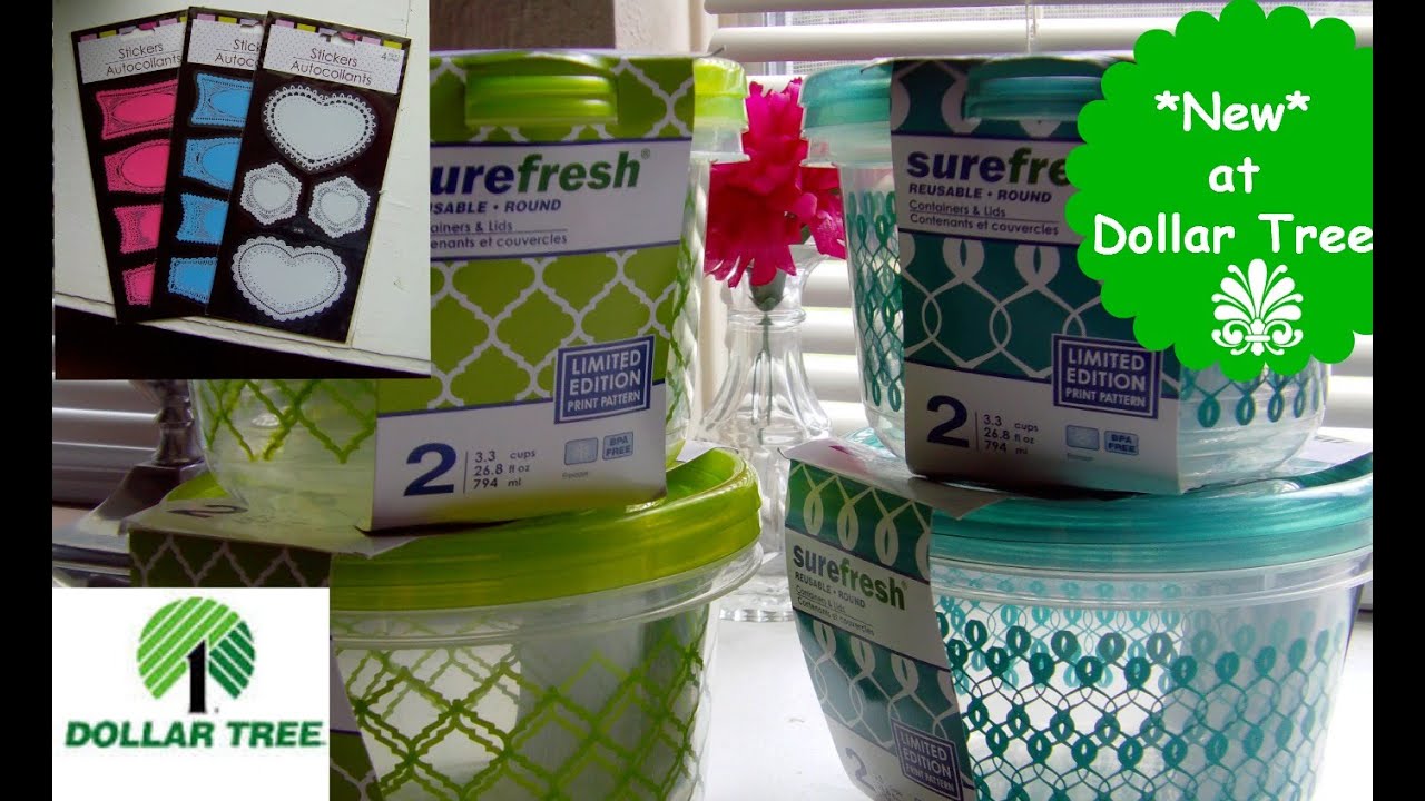 *NEW* at Dollar Tree & Small Haul - YouTube