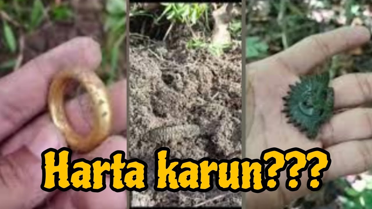cari harta karun / relic emas guna alat kesan logam metal detector ...