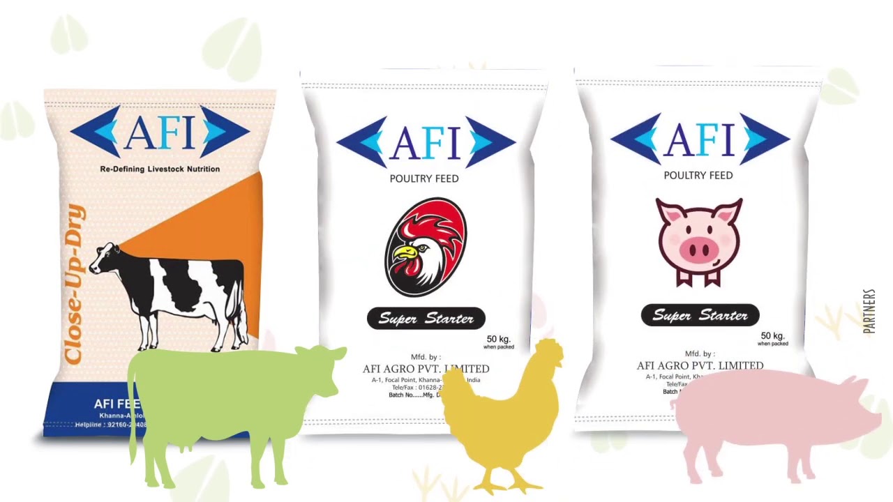 Livestock, Poultry & Swine | AFI Agro | Best Digital Creative ...