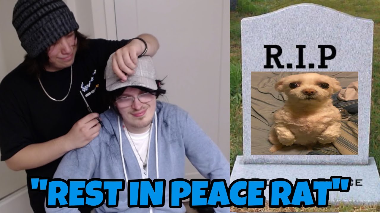 BadBoyHalo & Quackity Plays Rat’s Favourite Songs For Her Passing - YouTube