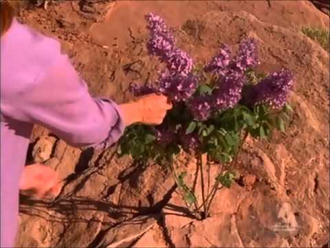 Touched By An Angel- Monica is tempted to fall from grace