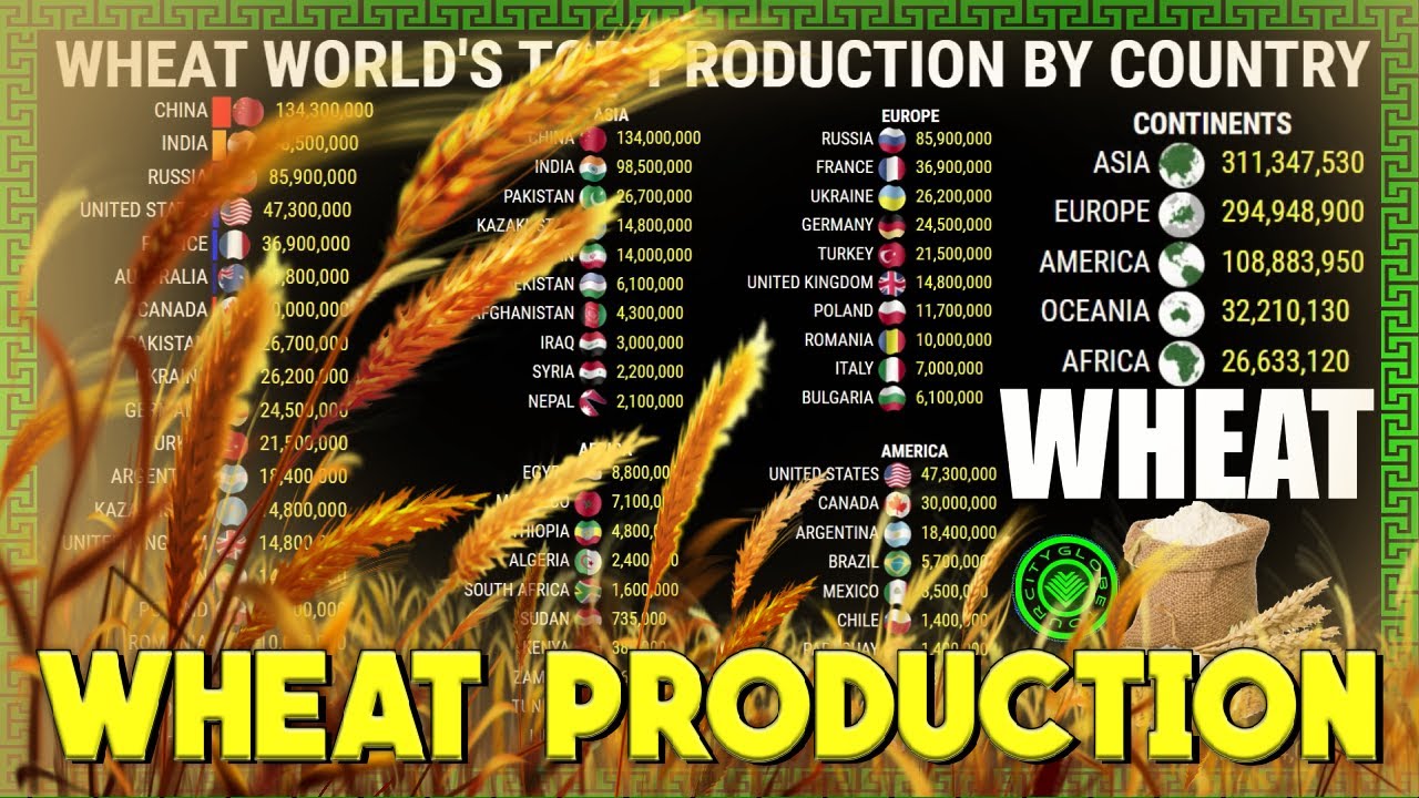 Wheat World's Top Production by Country - YouTube