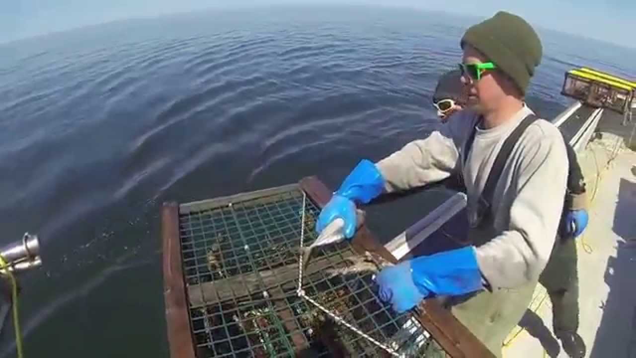 LOBSTER FISHING COVEHEAD PEI 2015!! - YouTube