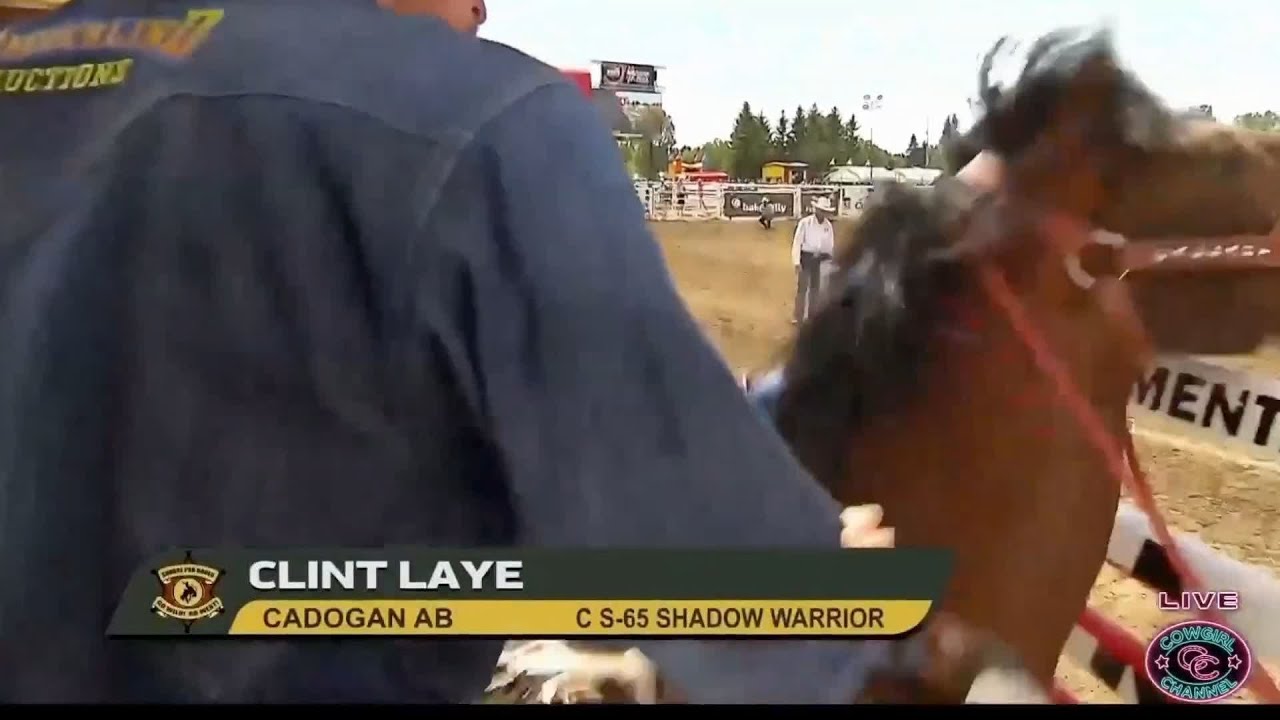 Clint Laye on C S-65 Shadow Warrior for 87 pts - YouTube