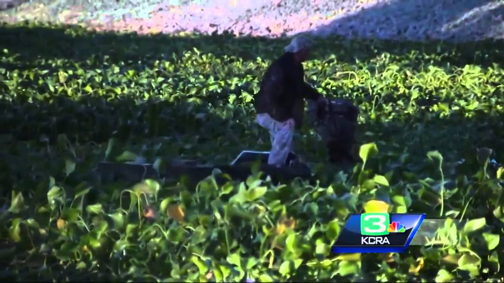 Are clogged waterways a threat to safety, security? - YouTube