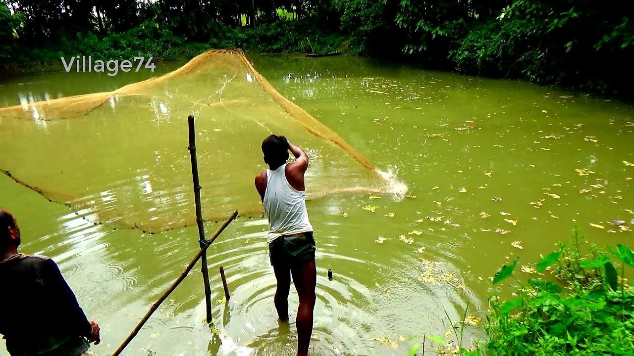 Net Fishing in the village।Catching fish by cast net।Cast Net Fishing ...
