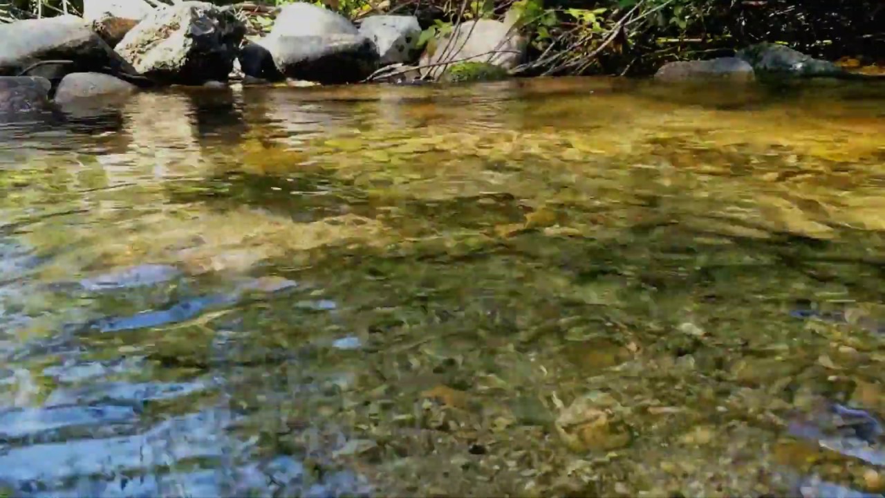 Trickling Water Sounds, Mountain Stream with White Noise for Sleep ...