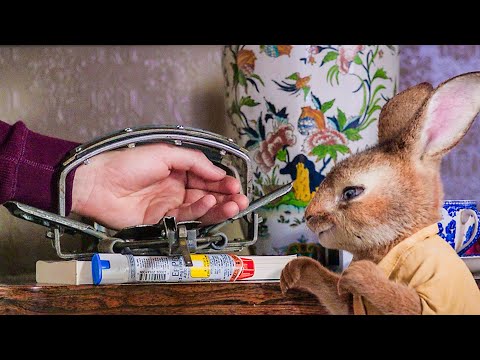 Les lapins capturent un humain (c'est bien mérité !) | Pierre Lapin | Extrait VF 🔥 4K