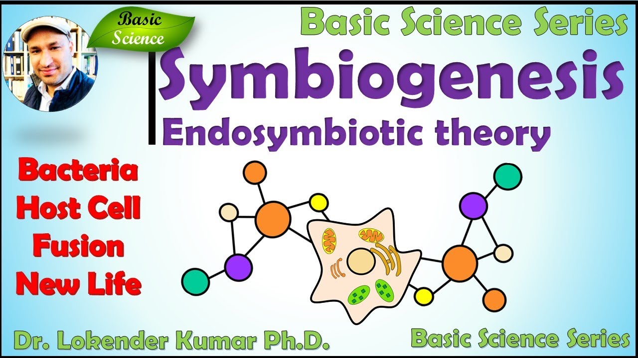Theory of Symbiogenesis | Origin of life | Bacteria | Evolution | Basic ...