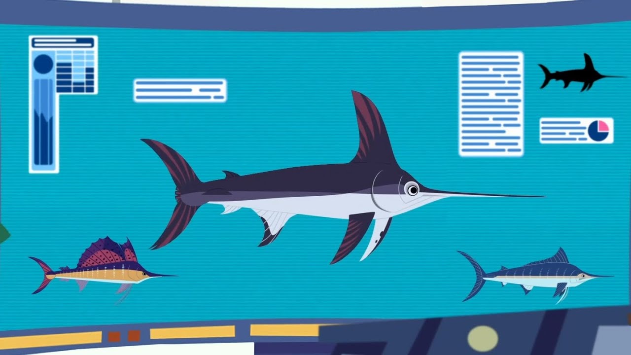 Wild Kratts S05EP12 Choose Your Swordfish - YouTube