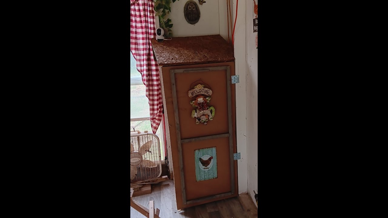 Building a chicken coop storage closet. - YouTube