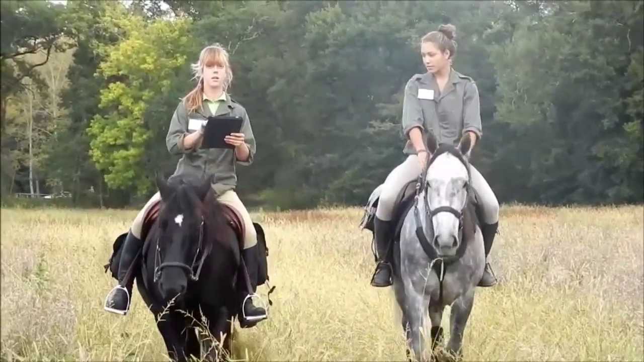 Agent Garde Forestier par Géolocalisation - YouTube