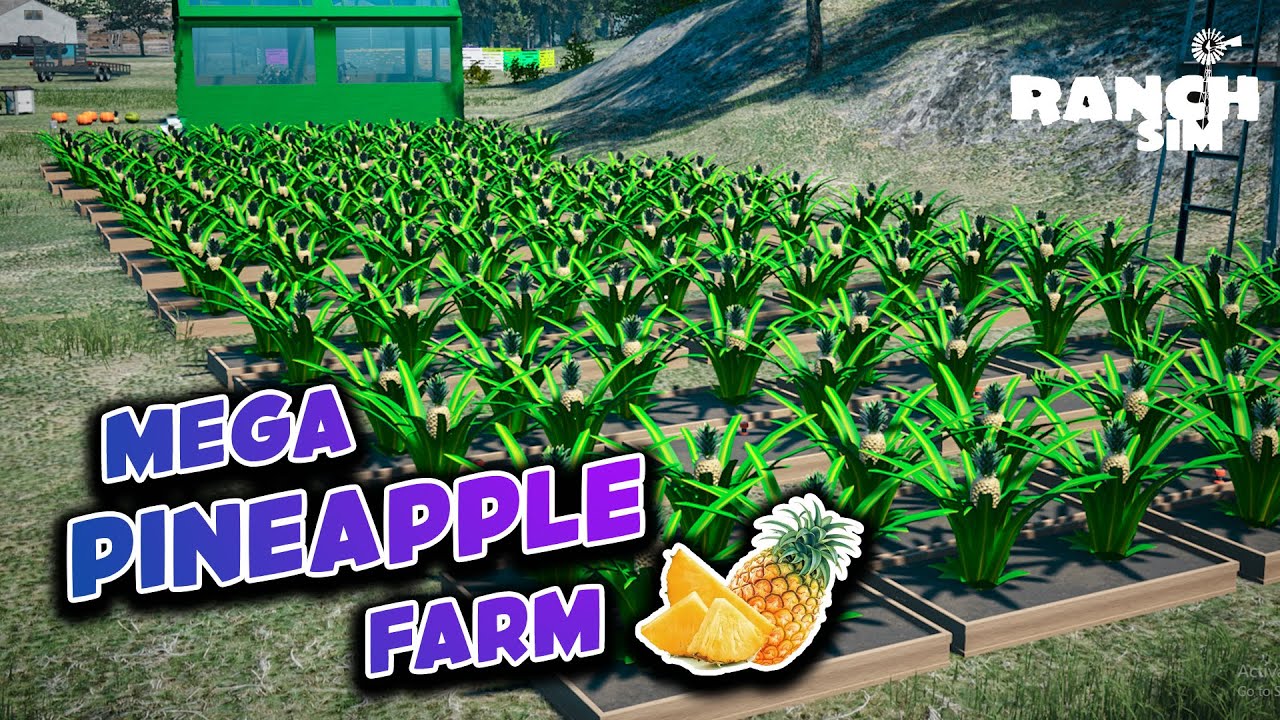 NEW MEGA PINEAPPLE FARM | RANCH SIM MALAYALAM - YouTube