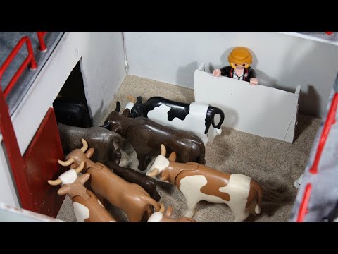 Destete de becerros 🐄