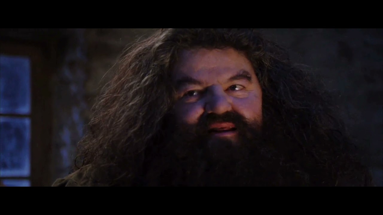 Harry Potter And The Philosophers Stone Rubeus Hagrid Scene Pack Part