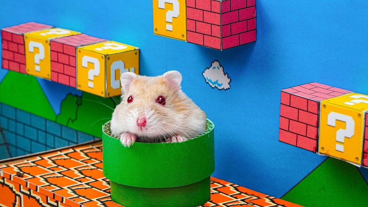 HAMSTER ESCAPE: Cute Mario maze for Hamsterious 🐹 in Hamster Stories 🐹 ...