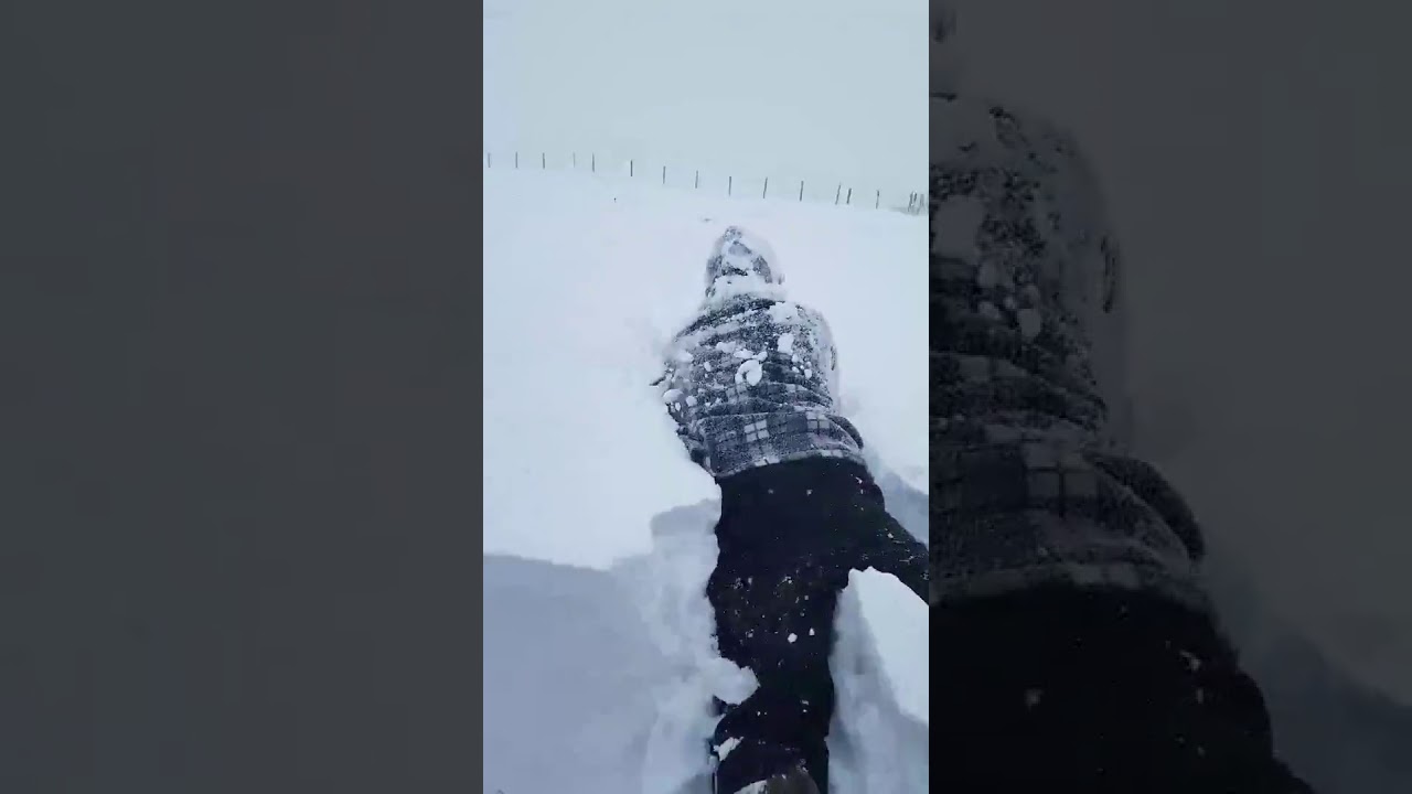 Snow diving - YouTube