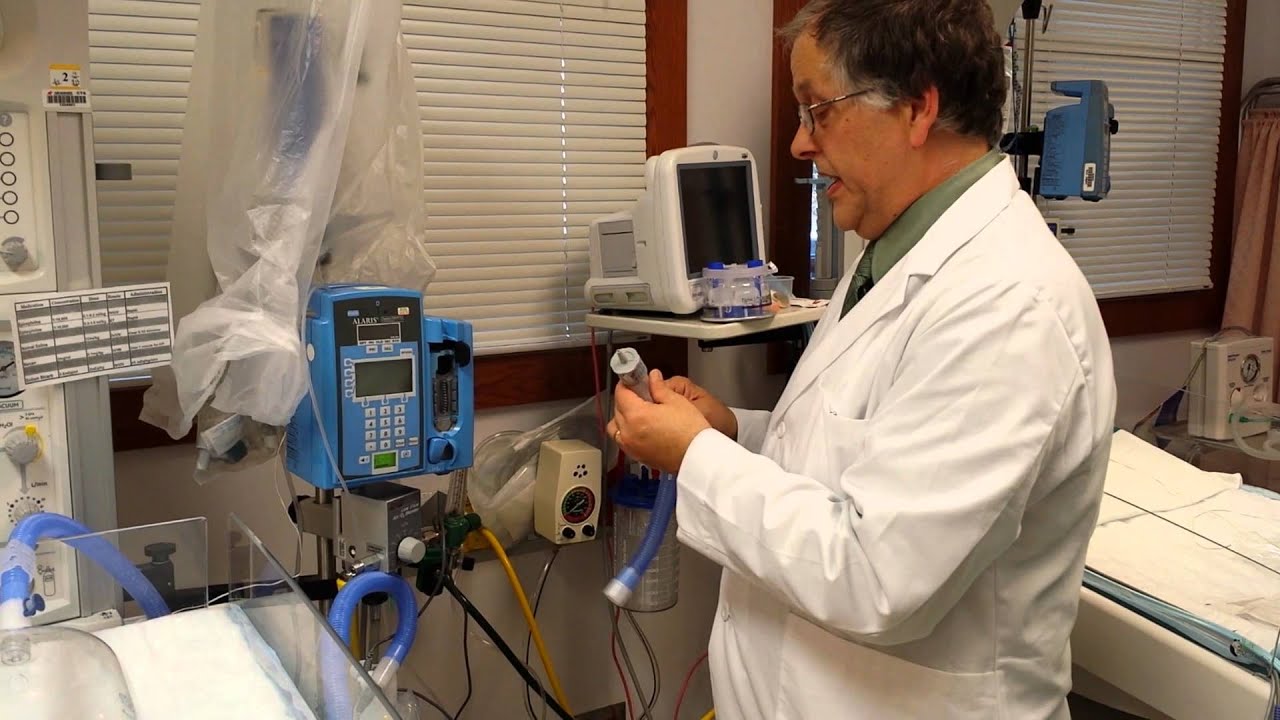 oxyhood nursery - YouTube