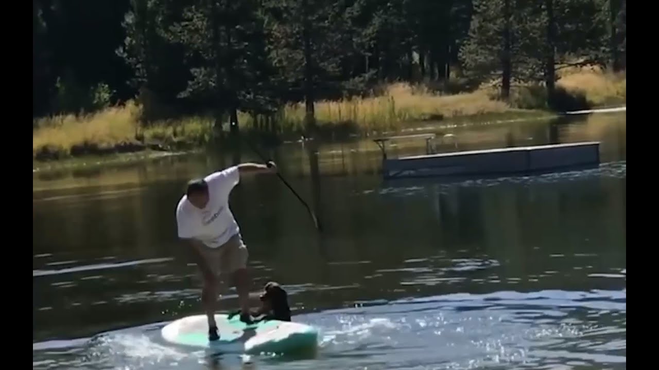 Funny Fails#80 Time For A Swim - YouTube