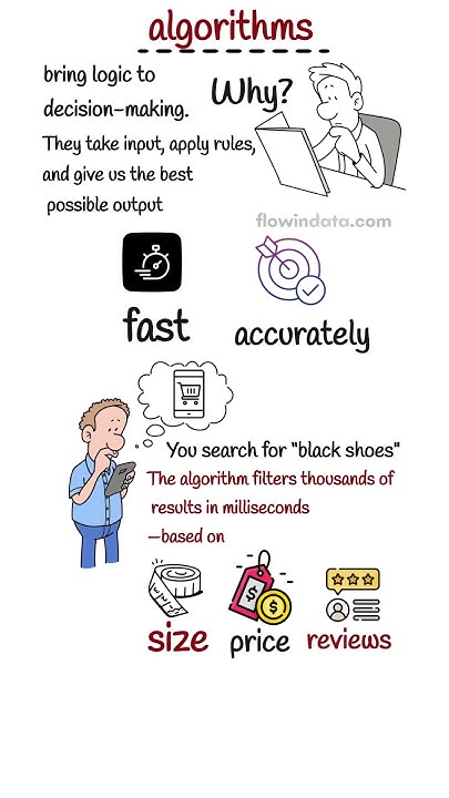 Why Are Algorithms Important? Explained for Everyone - YouTube