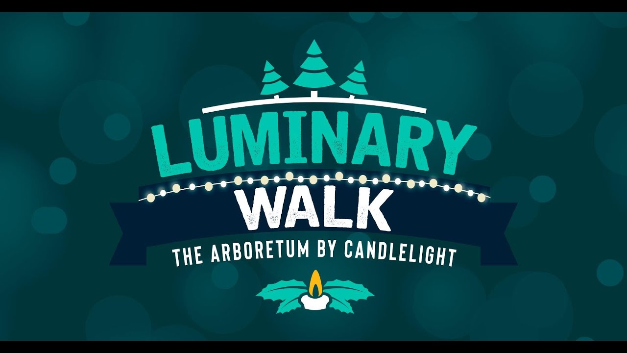 2021 Overland Park Arboretum Luminary Walk - YouTube