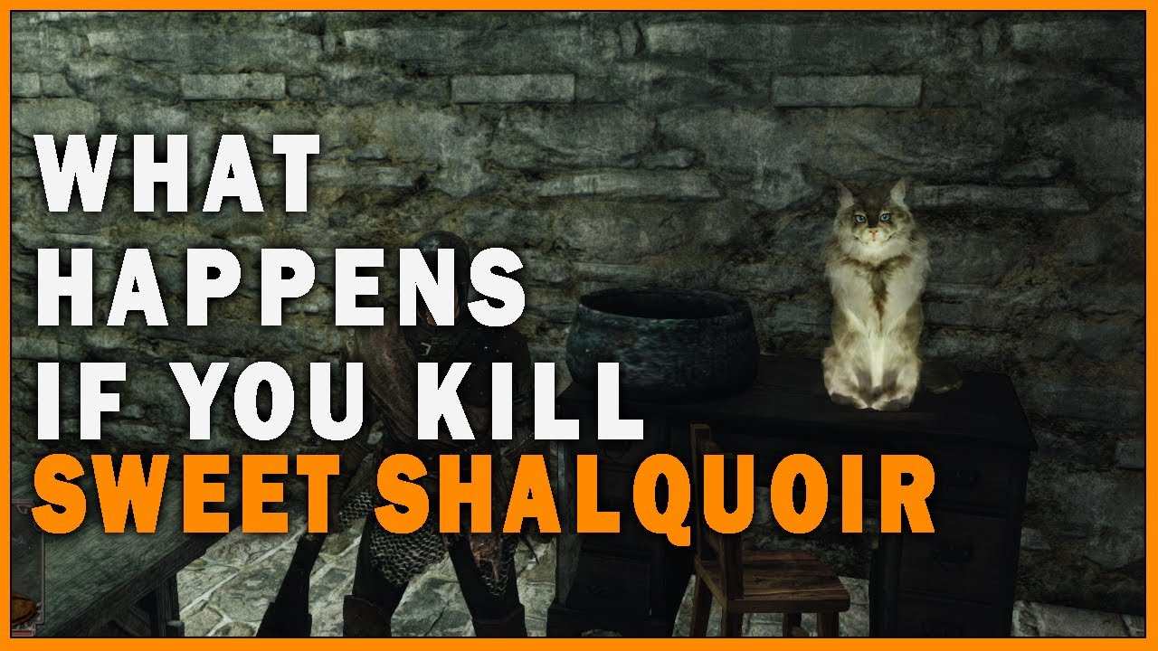 What Happens if you Try to Kill Sweet Shalquoir in Dark Souls 2 - YouTube