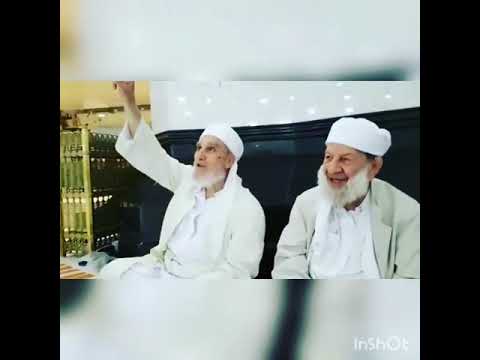 Seni Unutmayacağız Şeyh Hafız Taha Hz (tillo)
