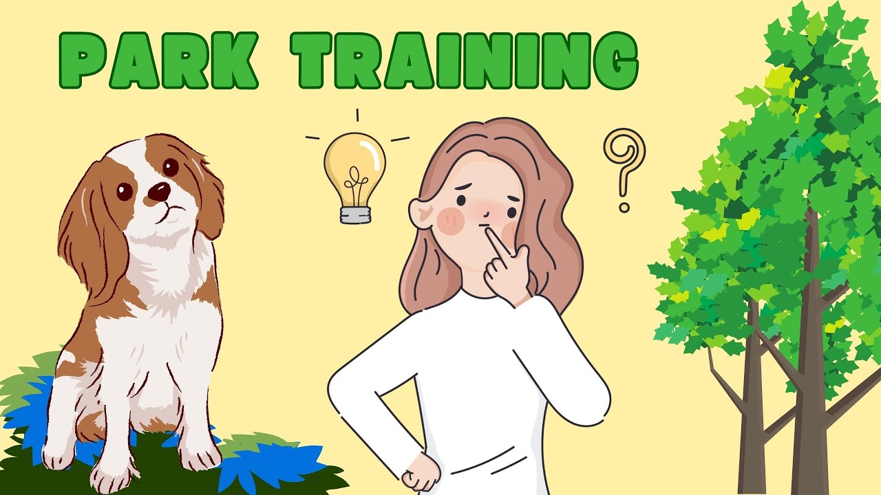 Teaching Your Dog to Focus Around Distractions 🐶Letting Dogs Sniff and ...